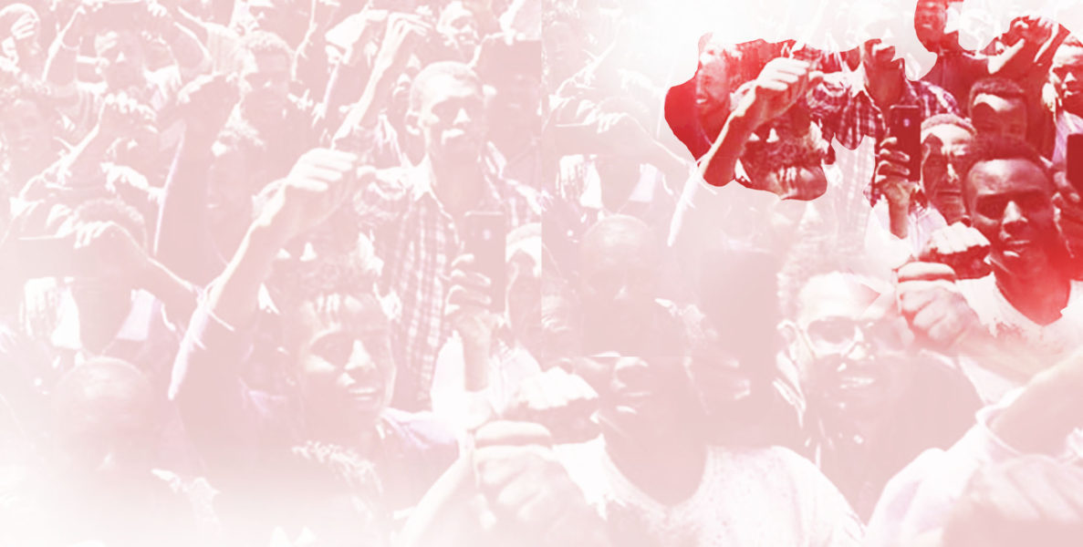 Professional Network Oromo Legacy Leadership And Advocacy Association